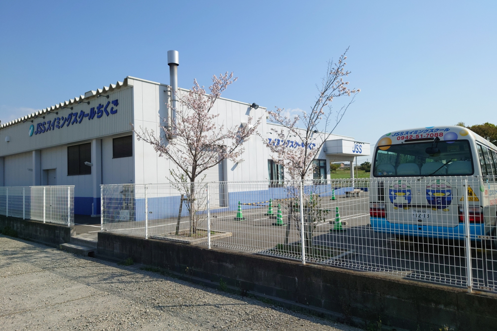 2023さくら観察日記 その② !(^^)! | JSSスイミングスクールちくご