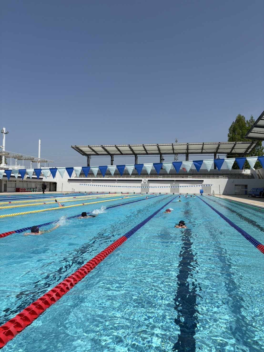 尼宝 GW強化合宿 inスイムピア奈良 | JSS尼宝(ニホー)スイミングスクール