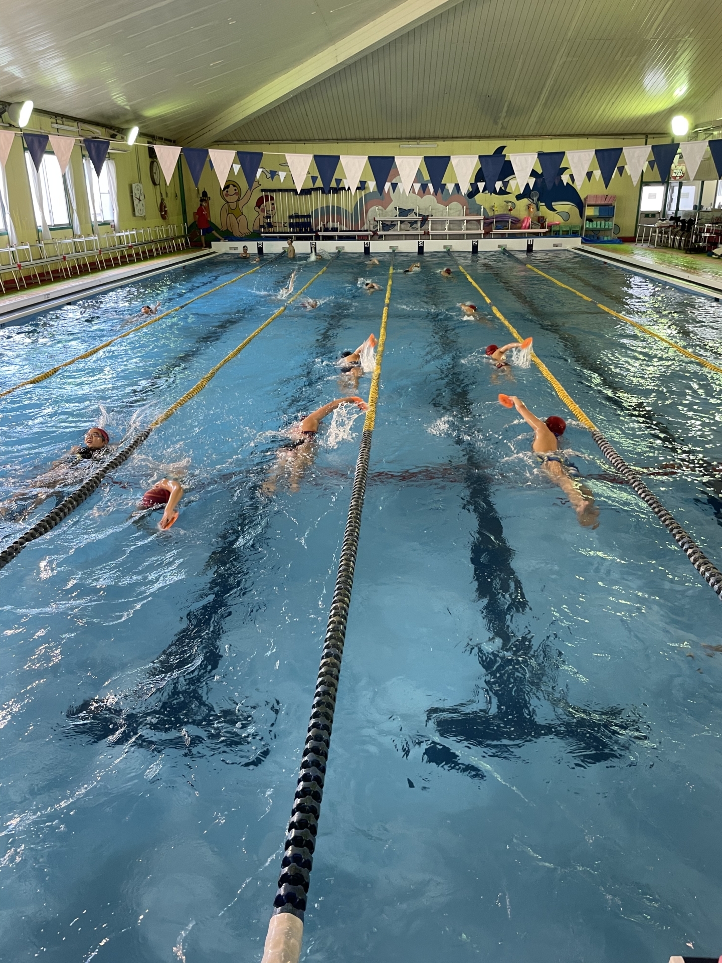 年始強化練習① | JSS多治見中央スイミングスクール