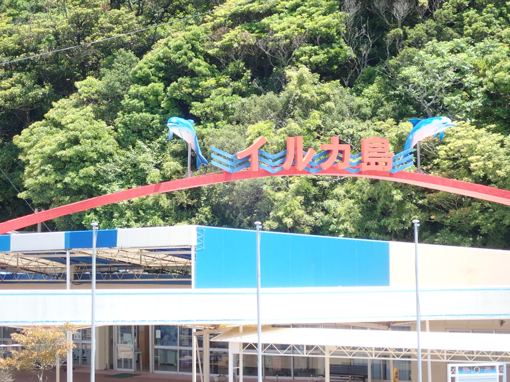 スタッフブログ | JSS富雄スイミングスクール